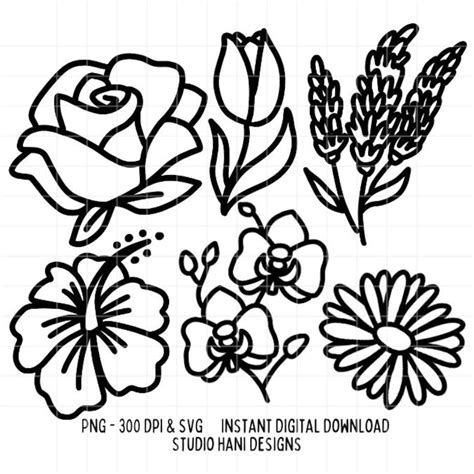 Assorted Flowers Svg Png Bundle Floral Rose Daisy Lavender Hibiscus