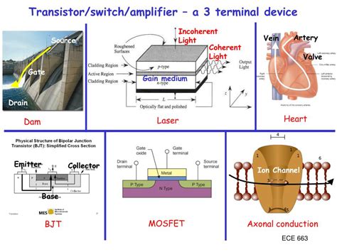 PPT Transistor Switch Amplifier A Terminal Device PowerPoint Presentation ID