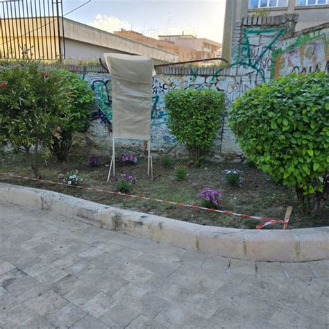 A Catanzaro Un Giardino In Memoria Di Loredana Scalone Sabato Prossimo