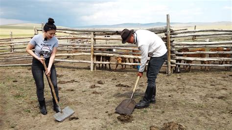 Хотын бүсгүй хөдөөд нэвтрүүлэг Youtube