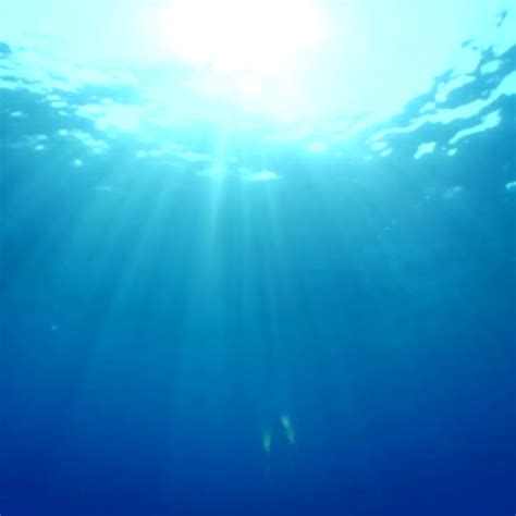 Video Sumana Bajracharya Posted On Linkedin