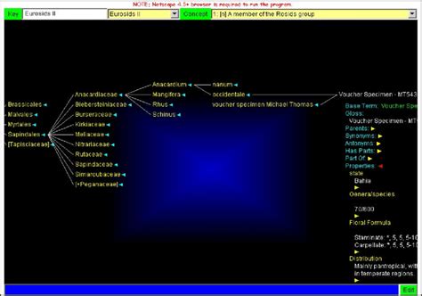 web based data visualization tool download scientific diagram