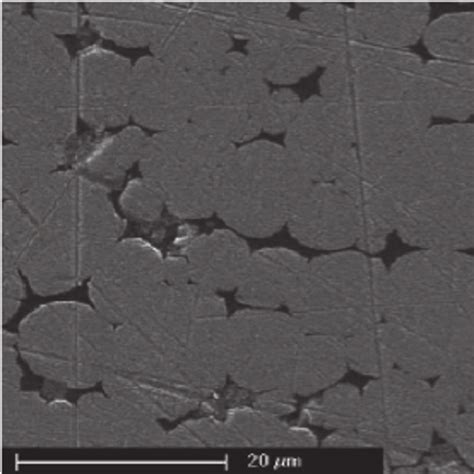 Scanning Electron Microscope Image Of The Interior Of A Porous Download Scientific Diagram