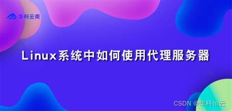 linux系统中如何使用代理服务器 linux最下化安装的系统如何使用代理上网 csdn博客