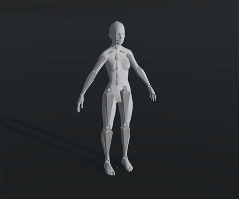 3d Human Body Base Mesh Animated And Rigged 20k Polygons 10 3d Models