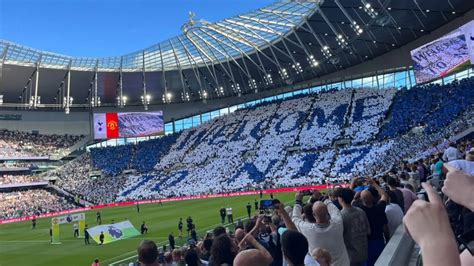 Dis Life Spurs Disabled Access Makes Fans Feel Like Beyonce Anna