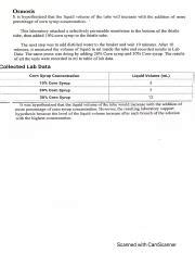 Lab Movement Of Molecules Pdf Course Hero