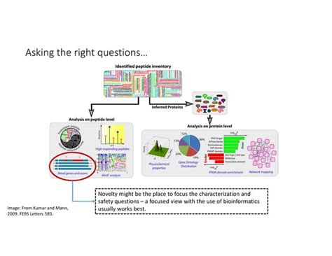 Bioinformatics Building The Cornerstones Of Sequence Homology And Its