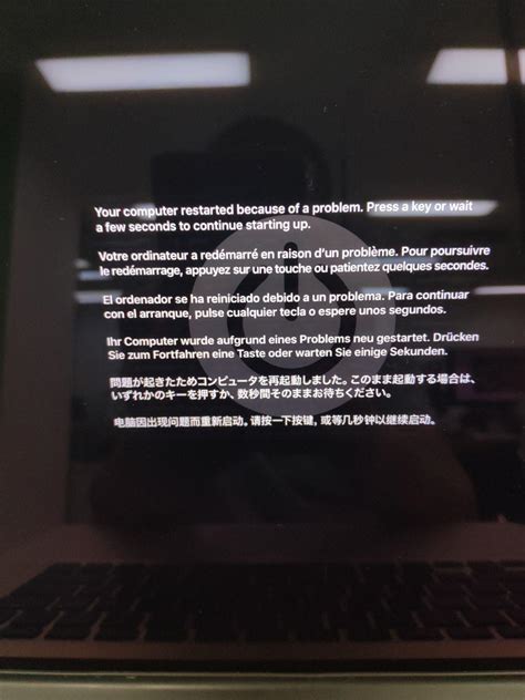 在某种情况下系统崩溃重启 Apple 社区