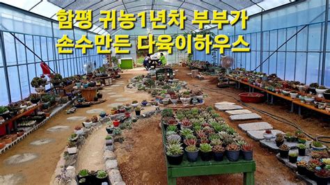 💥함평 귀농1년차 부부가 손수만든 다육이하우스💥 함평다육이하우스 함평다육이카페 부부가만든다육이하우스 Youtube