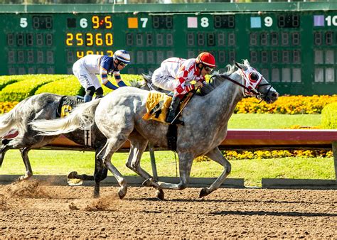 None Above The Law Goes Last To First In Bertrando Stakes Upset