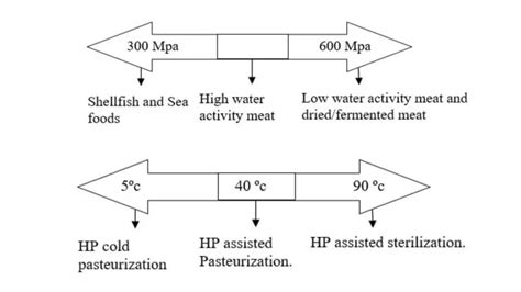 High Pressure Processing HPP Dfinition Principle Process Applications Biology Notes Online