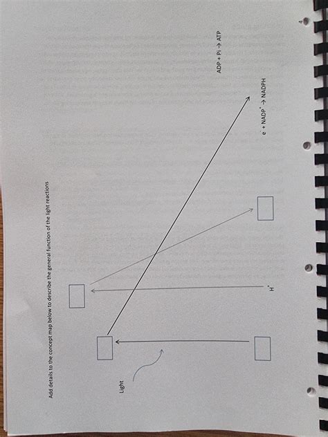 Add Details To The Concept Map Below To Describe The