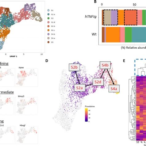 Analysis Of Pbmc3k Scrna Seq Dataset A Violin Plots Depicting Cell Download Scientific