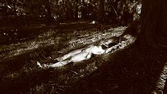 Category Nudity Wikimedia Commons