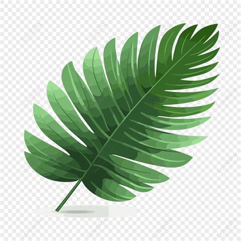 야자수 만화의 잎의 팜 리프 클립 아트 벡터 일러스트 레이 션야자잎 Png 일러스트 무료 다운로드 Lovepik