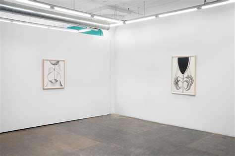 Devra Fox Wish Bone Exhibitions Nicodim Gallery