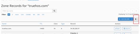 How To Manage DNS Records In CPanel
