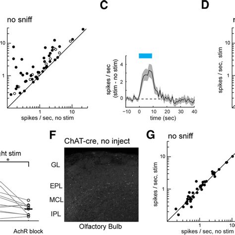 Optogenetic Activation Of Cholinergic Inputs To The Ob Enhances Mtc