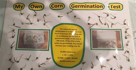 Corn Germination Test Helps Fine Tune Seeding Rate