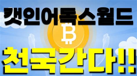 캣인어독스월드 이 코인 천국간다 Youtube