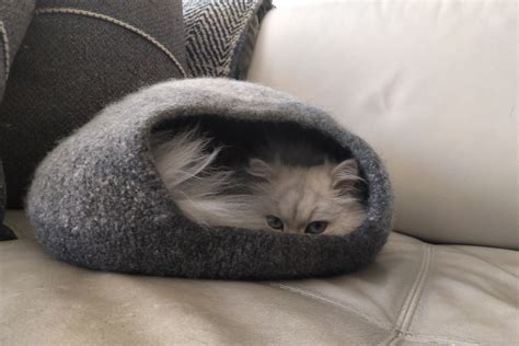 Felted Cat Cave A Cocoon For Kitty R Knitting