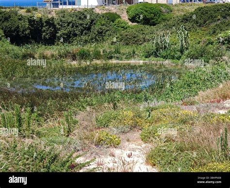 Retention Basin In Flood Protection Preventive Measure Against Natural
