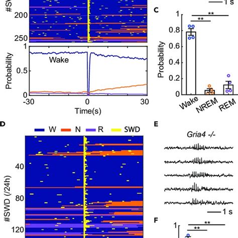 Brain States Regulate Swd In Other Mouse Models Of Absence Epilepsy A