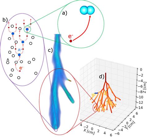 the multiple spatial scales in streamer discharges a collision of an