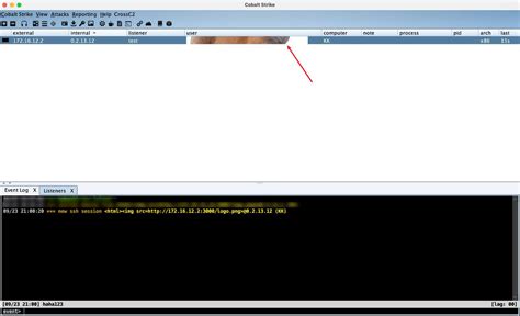 The Bug Report — September 2022 Edition Vulnerability Database