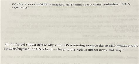 Solved How Does Use Of DdNTP Instead Of DNTP Brings About Chegg Com