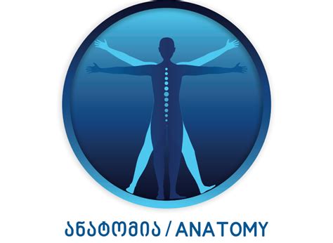 კლინიკა ანატომია კლინიკები Vidal Ge