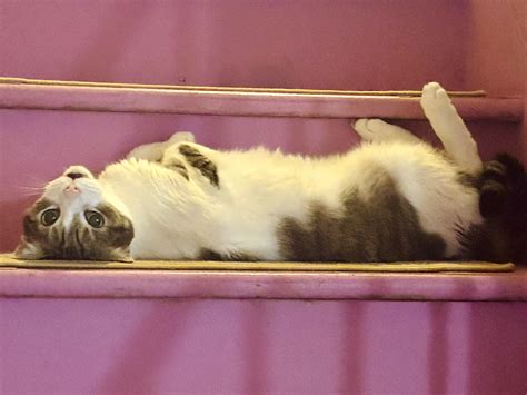 Derp By Gdenofa On Deviantart