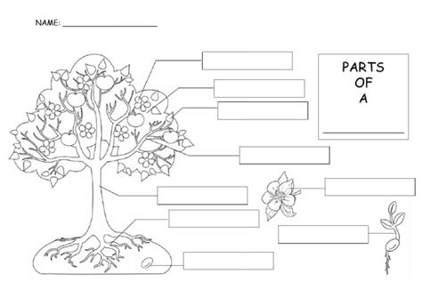 Label Tree Pdf