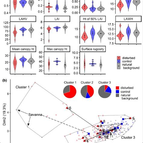 A Violin Plots Displaying The Distribution Of 11 Focal Structural