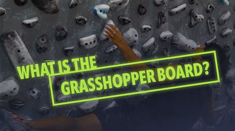 What Is The Grasshopper Board