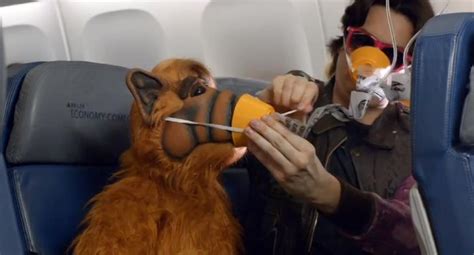 Alf Reviews Try To Remember Season Episode Noiseless Chatter