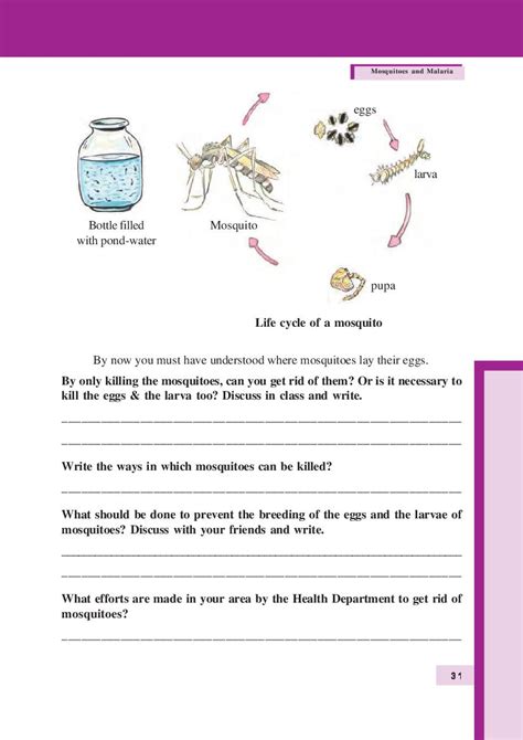 Cgbse Class 5th Evs Book Pdf In English Medium Download Online Cgbse Solutions