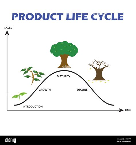 Product Life Cycle On White Background Stock Photo Alamy