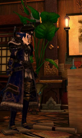 Dmc Assault Division Commander Eorzea Collection