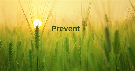 prevent の使い方 ガマ343 ブログ