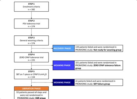 PROMIZING Stepwise Algorithm And Study Flowchart CPAP Continuous Download Scientific Diagram