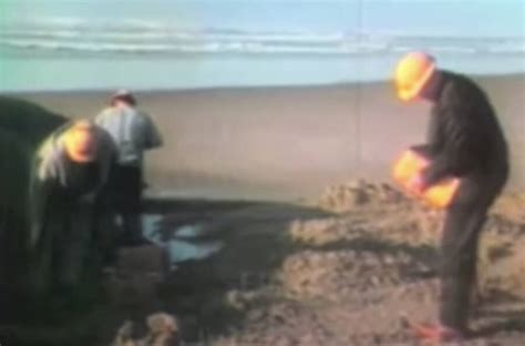 Florence Oregon S Exploding Whale And The Wild Story Behind It