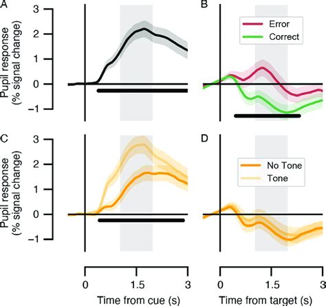 Pupil Response Time Courses Locked To The Cue And Target In The Download Scientific Diagram