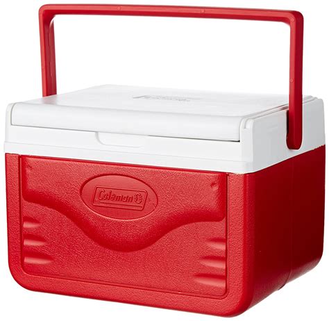 Top Rated Small Cooler At Glenna Appling Blog