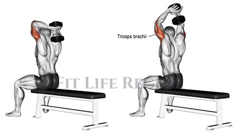 How To Do Seated Tricep Extension Correctly