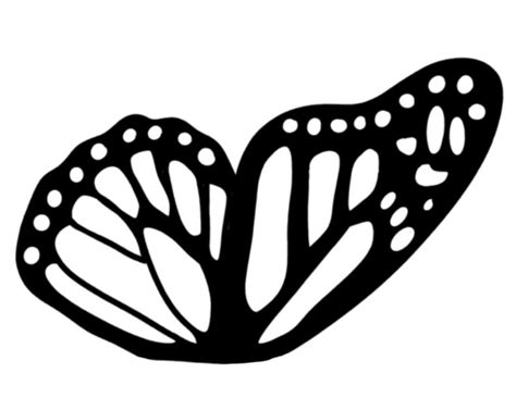 Butterfly Wing Drawing Outline