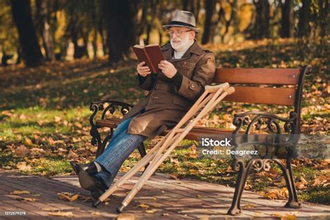 부상당한 노인의 전체 길이 프로필 측면 사진은 가을 숲 마을 공원 라이프 스타일 휴식 자연 휴식 휴식 읽기 지식 책 웨어 모자 모자 재킷 목발에 대한 스톡 사진 및 기타