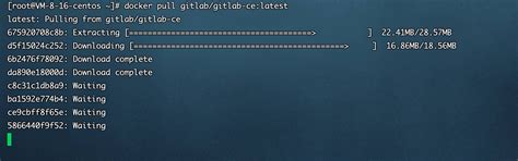 （一）ci cd实践前准备之docker集成gitlab gitlab cicd docker csdn博客