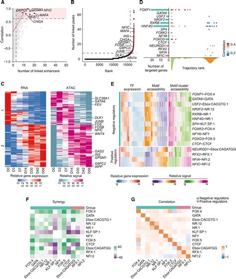 Remodeling Ceramide Homeostasis Promotes Functional Maturation Of Human